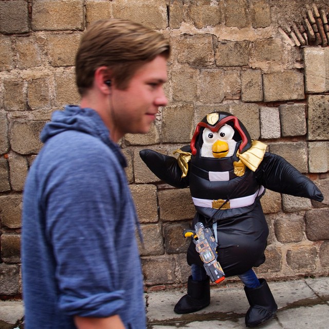 Angry Birds Attack in Antigua Guatemala During the Holy Week — stay ...